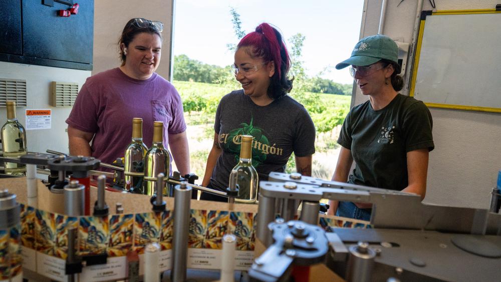 Introducing Hilgard631! | Viticulture and Enology